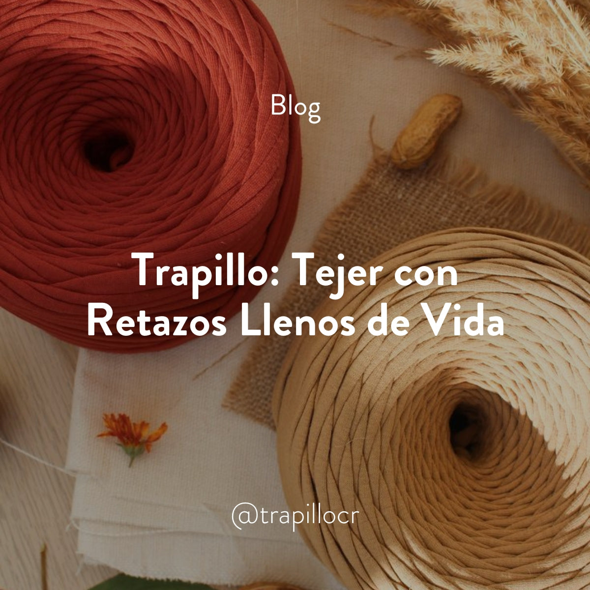 Trapillo: Tejer con Retazos Llenos de Vida – Trapillo CR